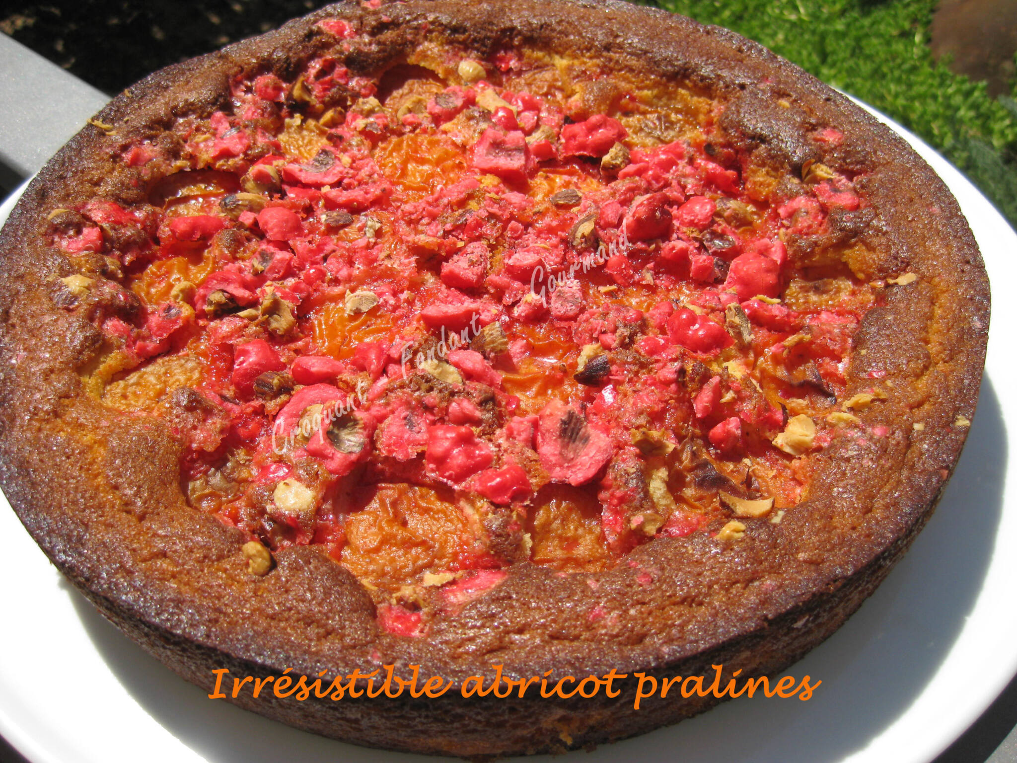 Irrésistible abricot ou framboise - Croquant Fondant Gourmand